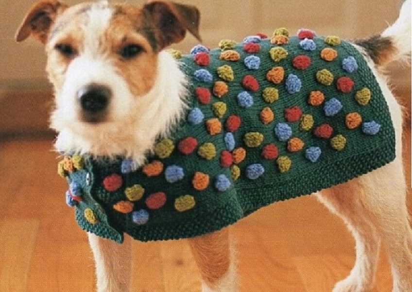 Cozy Canine: Knit Your Own Dog Snood