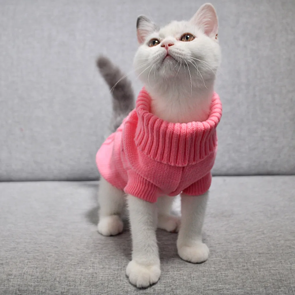 Stylish Cat Coats: Knit for Free!