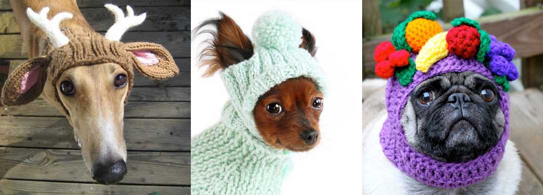 Cozy Canine: Knit Your Own Dog Snood