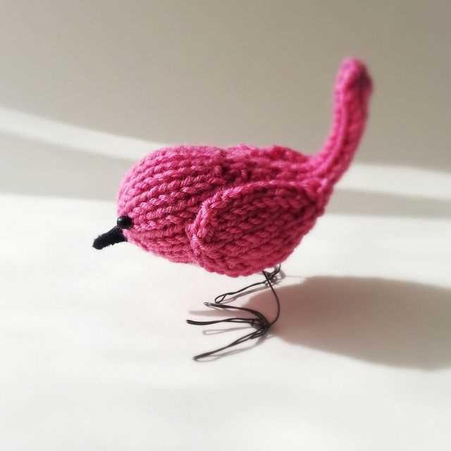 Knit Your Own Adorable Kiwi Bird with This Pattern