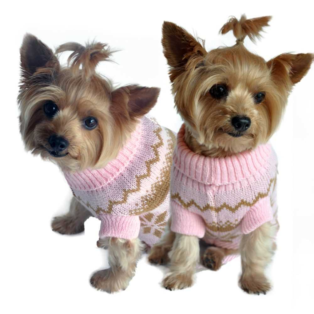 Cozy Yorkie Knitting Patterns for Free