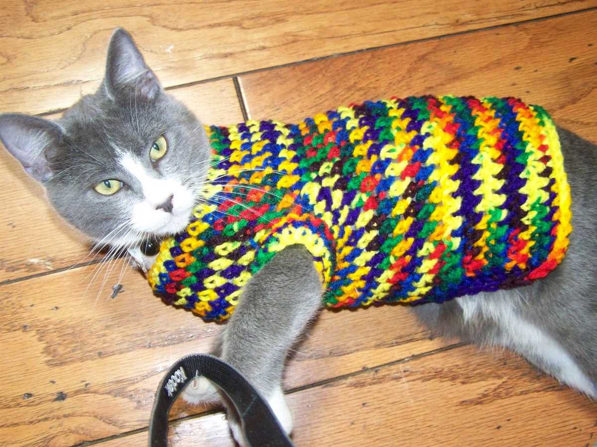 Stylish Cat Coats: Knit for Free!